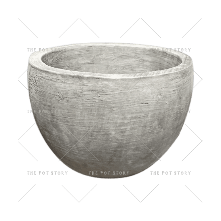 Titanium Pots & Planters - The Pot Story